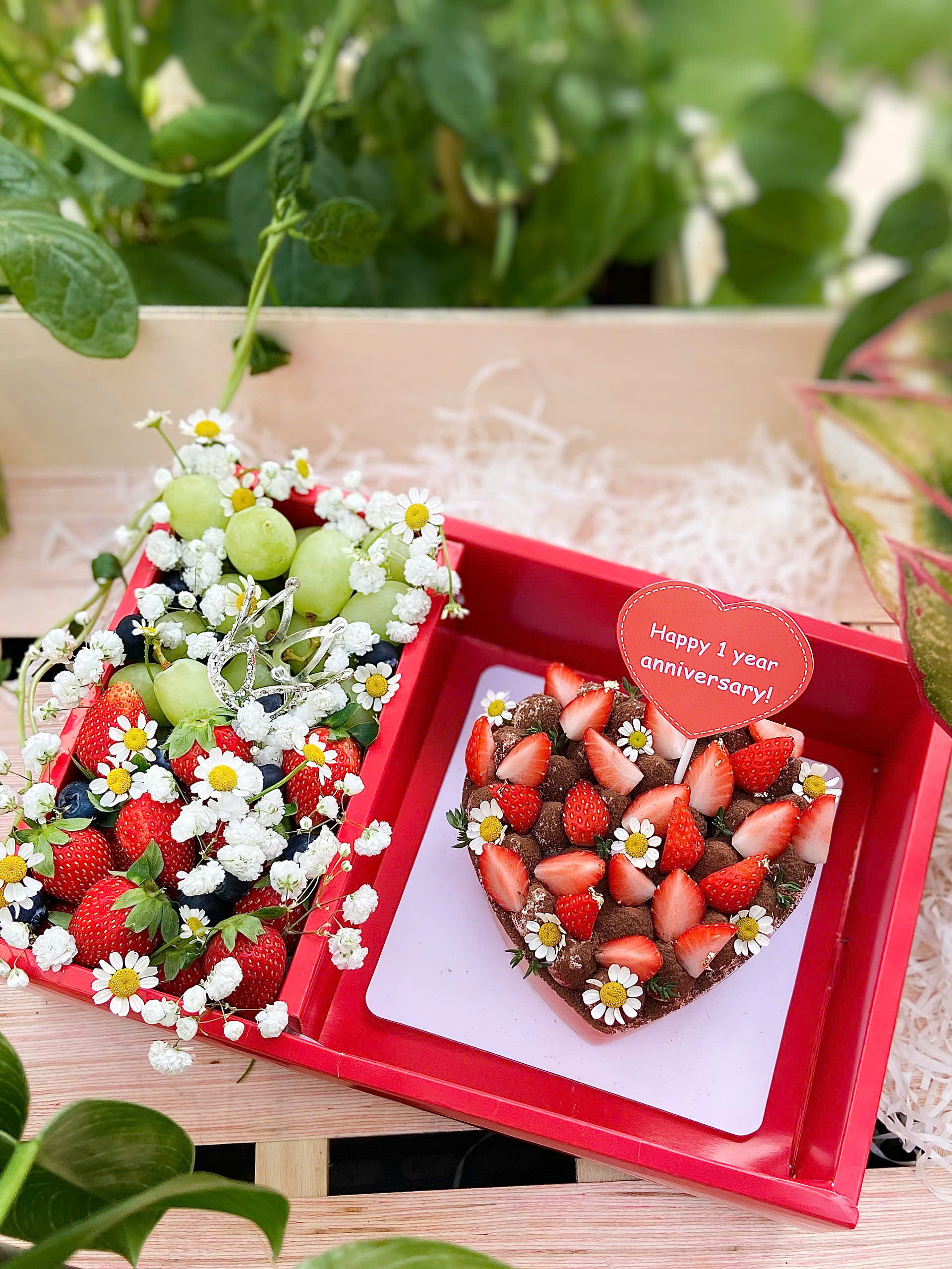 SET BÁNH TIRAMISU TRÁI TIM 12CM + TRÁI CÂY - DaisyDolce