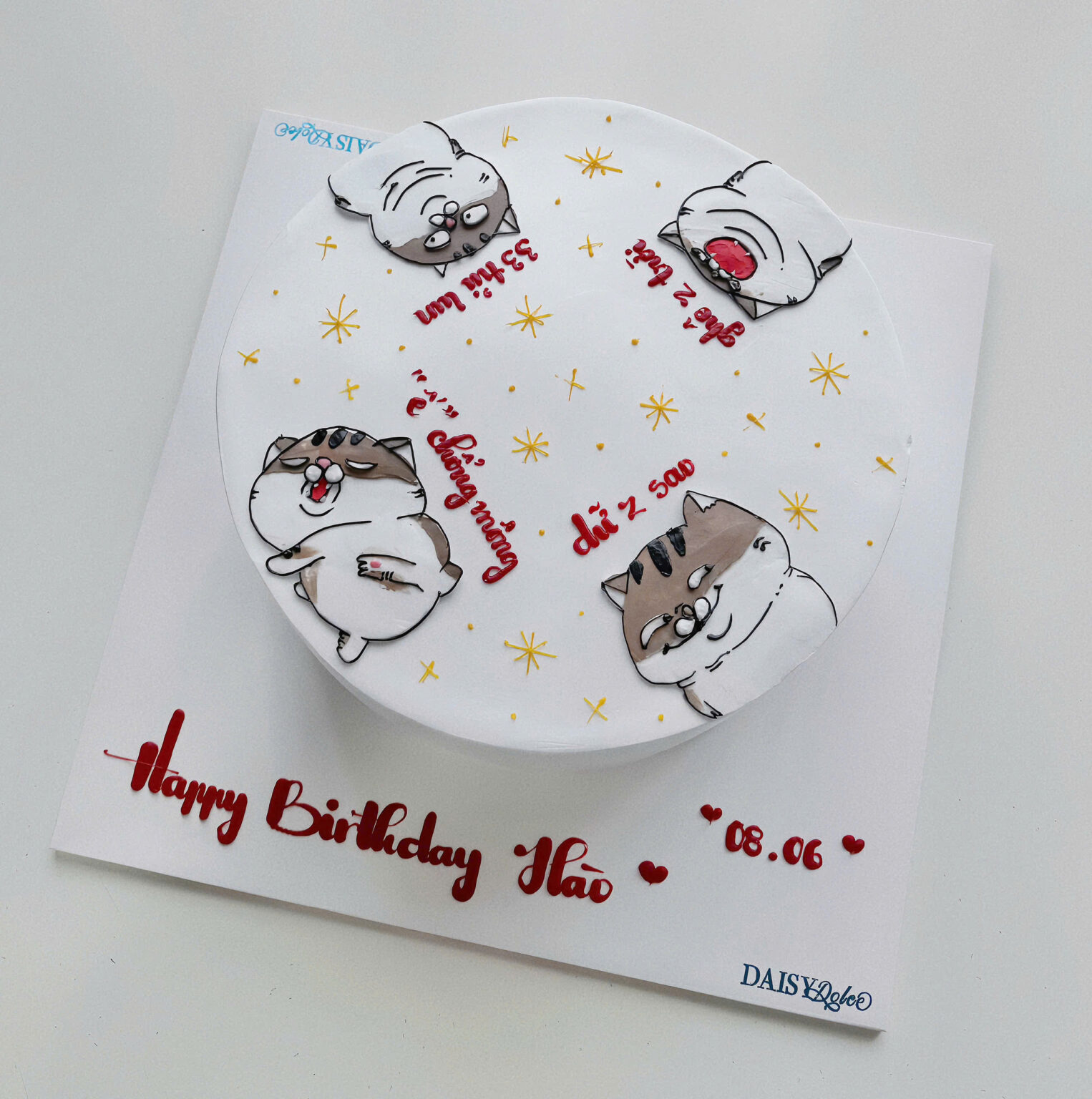 BÁNH VẼ MÈO AMY-NGỘ NGHĨNH-HÀI HƯỚC - DaisyDolce